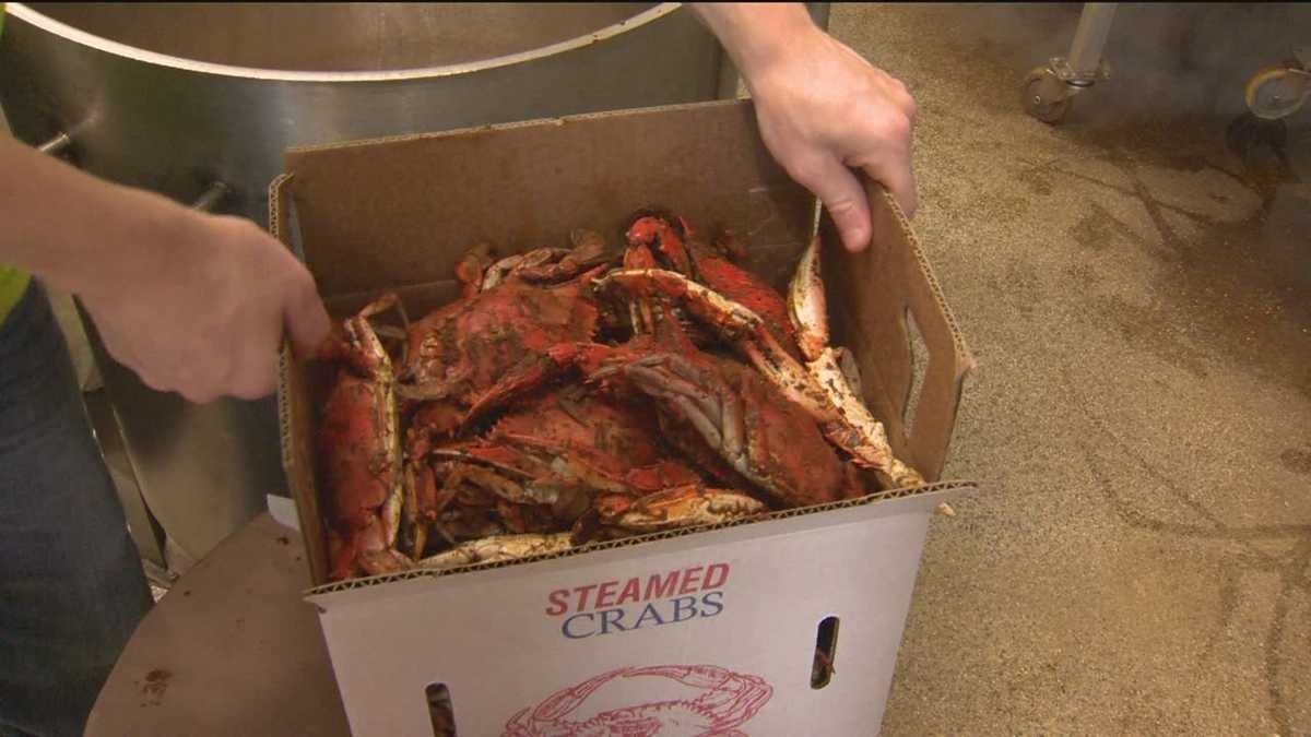 30 things you didn't know about Jason Newton