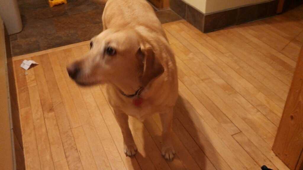 30 things you didn't know about Jason Newton