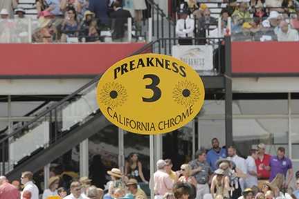 Preakness photos from the finish line