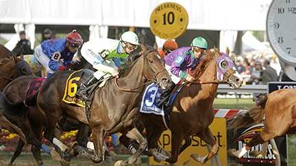 Preakness photos from the finish line
