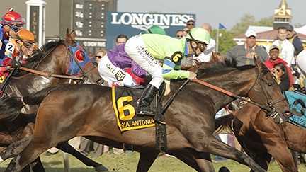 Preakness photos from the finish line