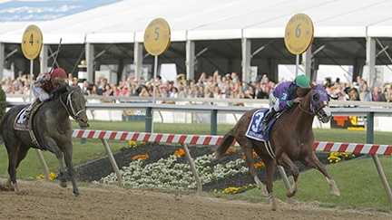 Preakness photos from the finish line