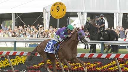 Preakness photos from the finish line