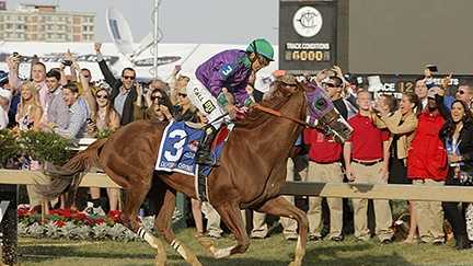 Preakness photos from the finish line