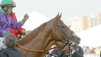 Preakness photos from the finish line