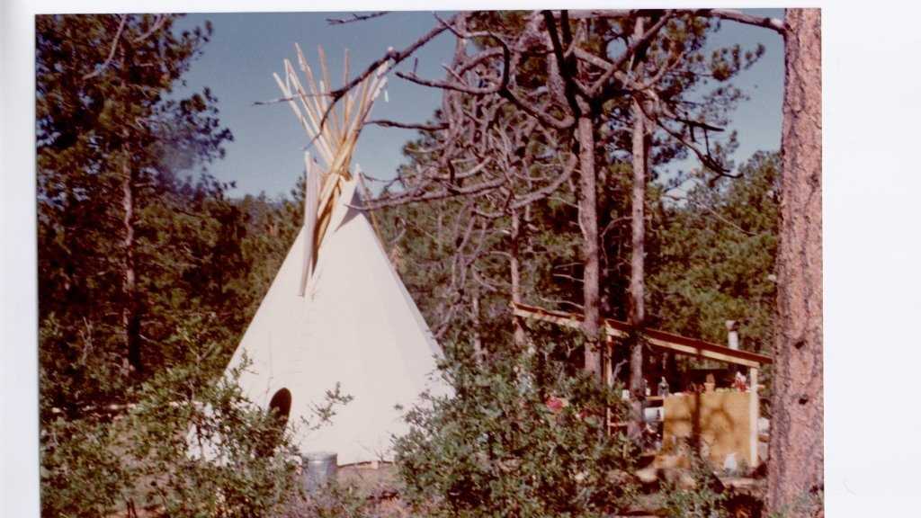 25 things you didn't know about Sarah Caldwell