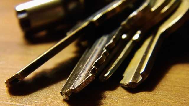 30 things you didn't know about Megan Pringle