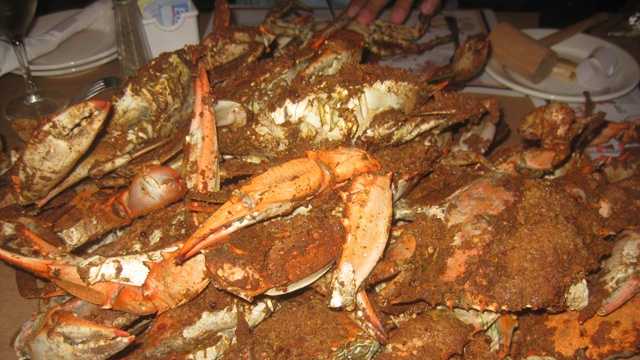 30 things you didn't know about Megan Pringle