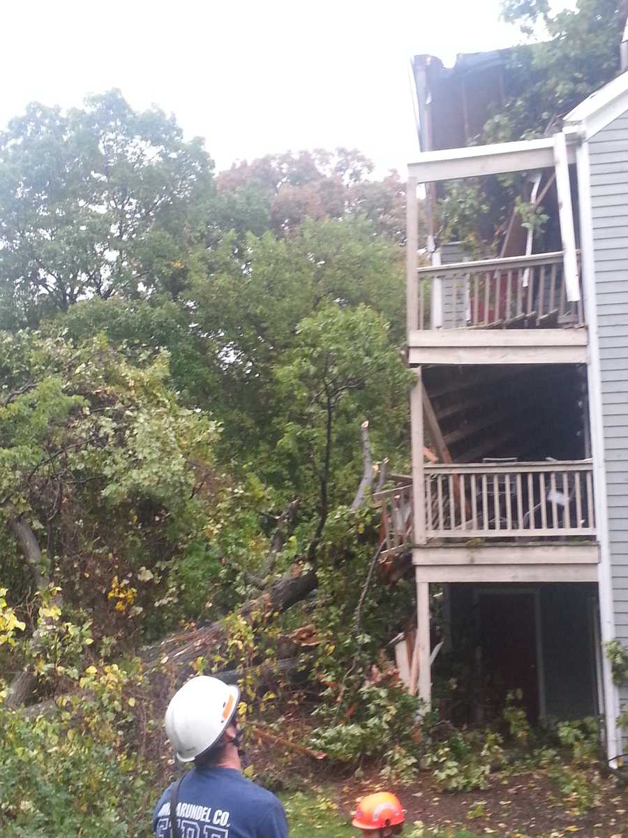 Images: Tree collapses on apartments, displaces residents