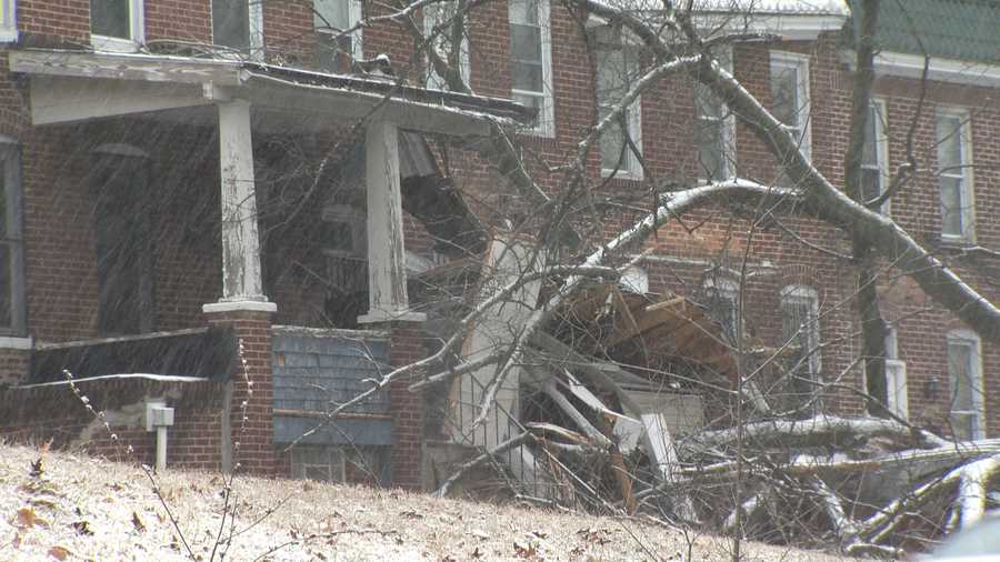 Photos: Tree falls, hits house in NW Baltimore