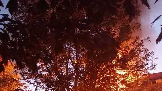 Images: Columbia explosion, fire