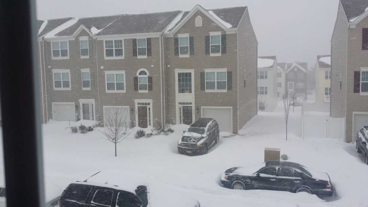 Photos: January 2016 snow in Baltimore, Maryland