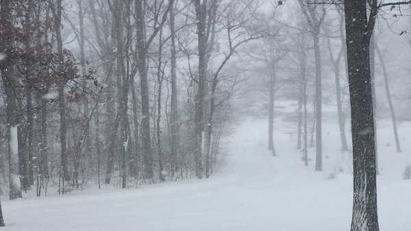 Photos: January 2016 snow in Baltimore, Maryland