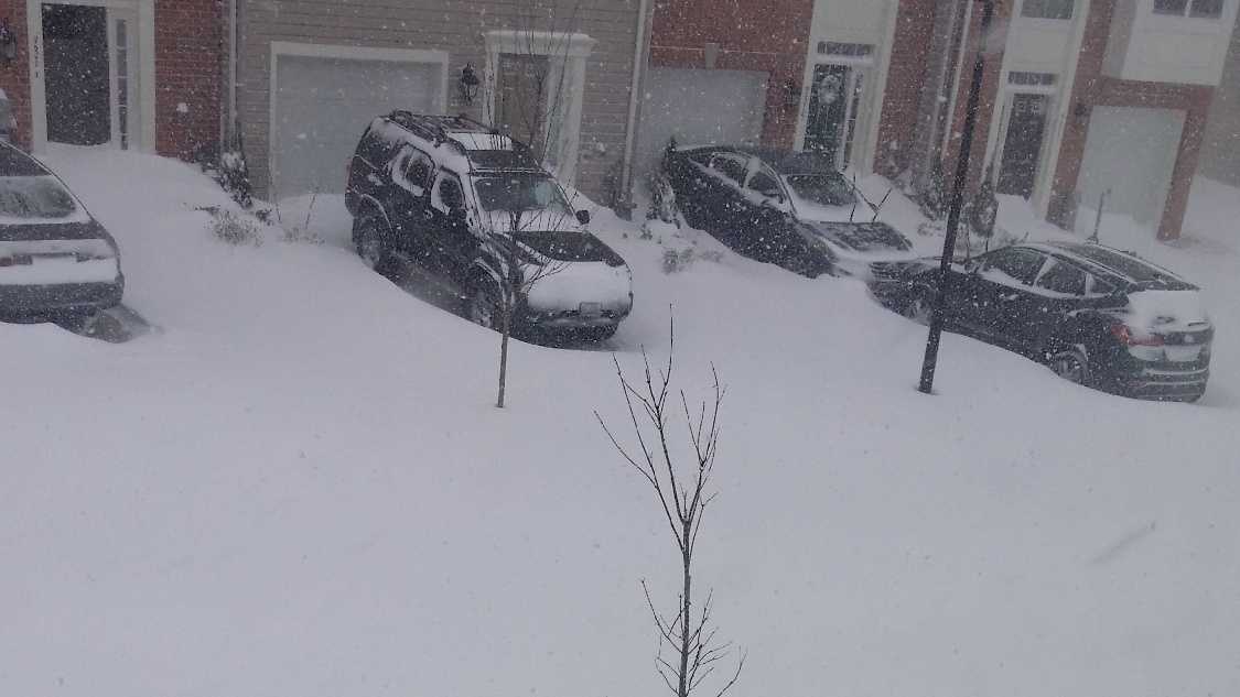 Photos: January 2016 snow in Baltimore, Maryland