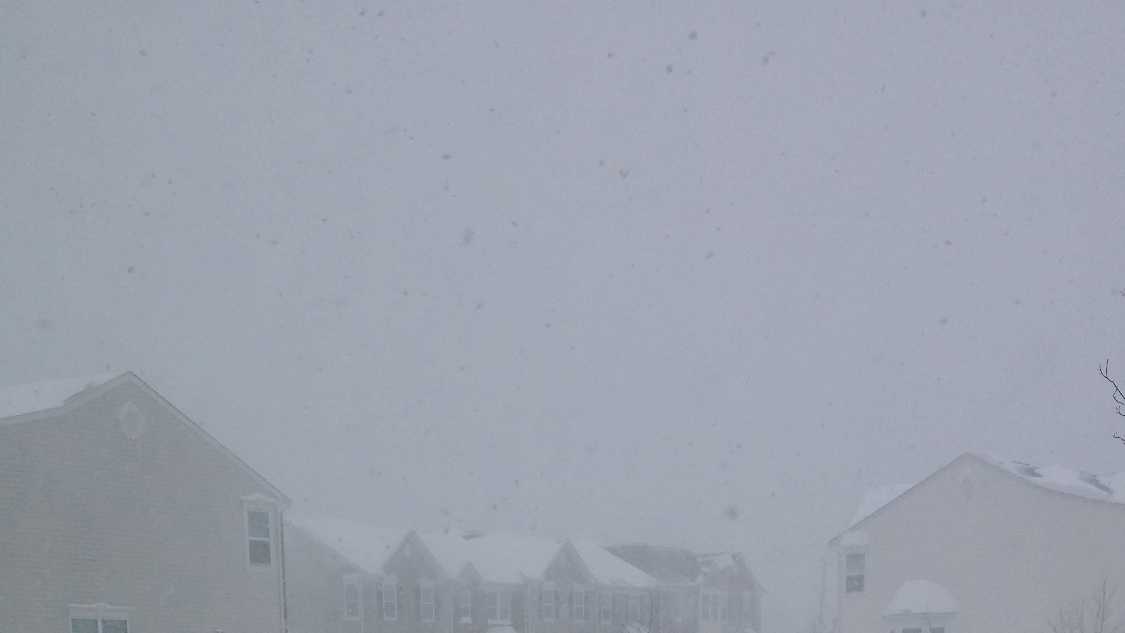 Photos: January 2016 snow in Baltimore, Maryland