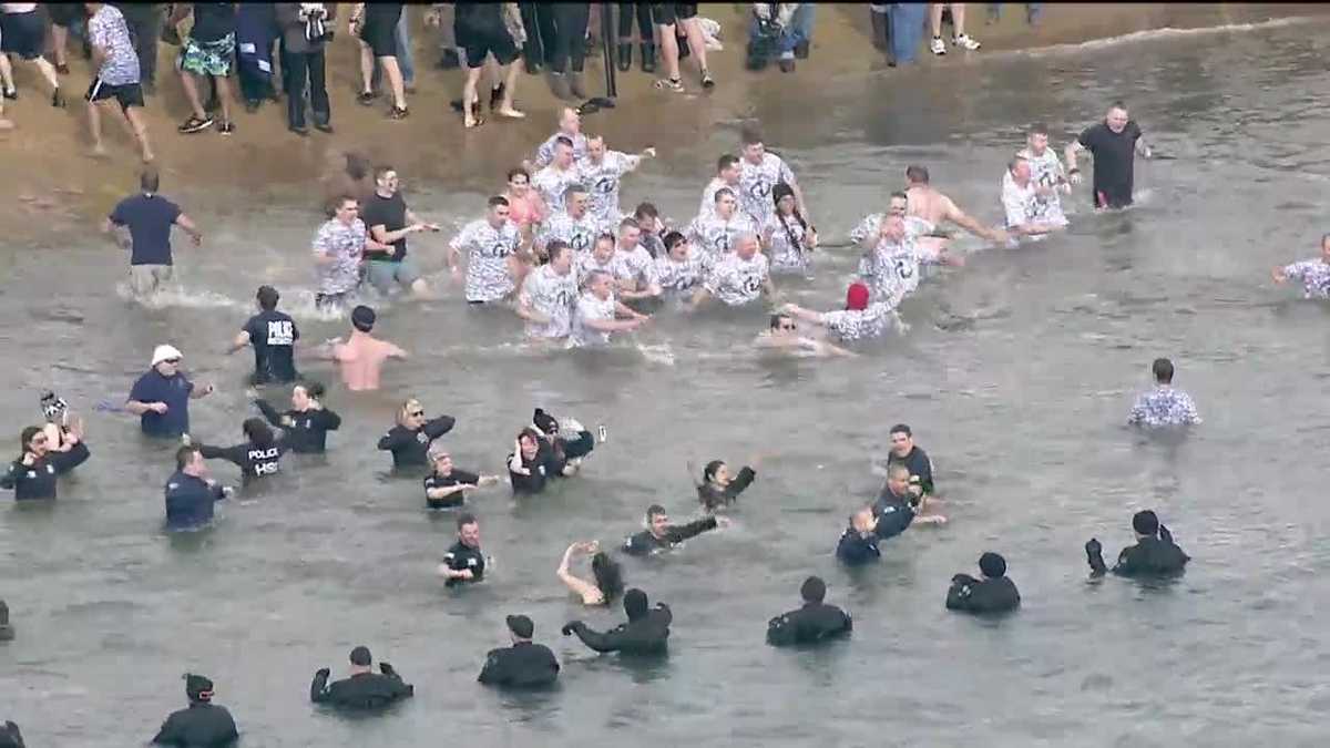 Polar Bear Plunge 2016 in photos