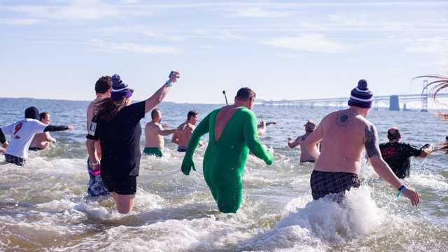 Polar Bear Plunge 2016 in photos