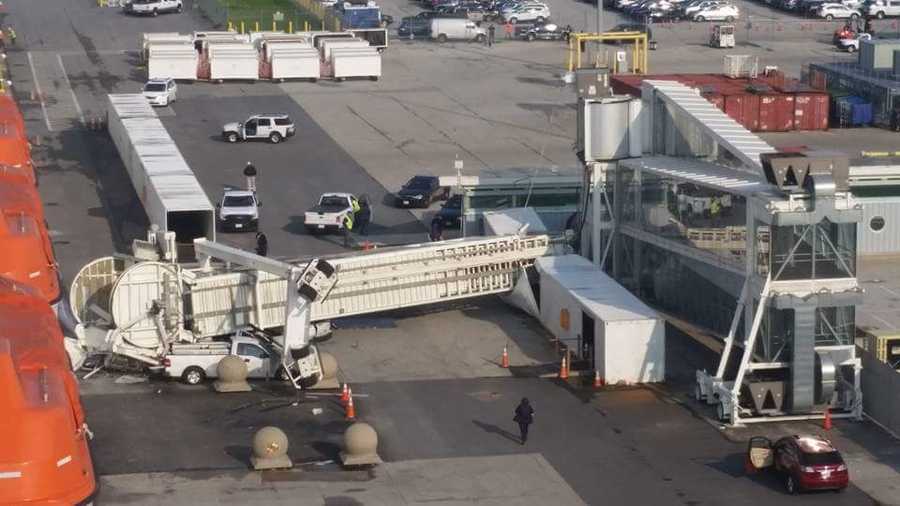 Images: Cruise ship hits gangway