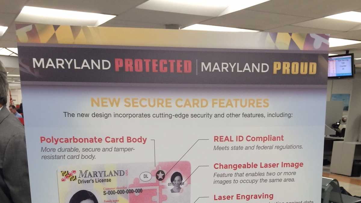 Images: What do the new Maryland driver's licenses look like?