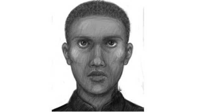 Police release sketch in home invasion case Police release sketch in home invasion case