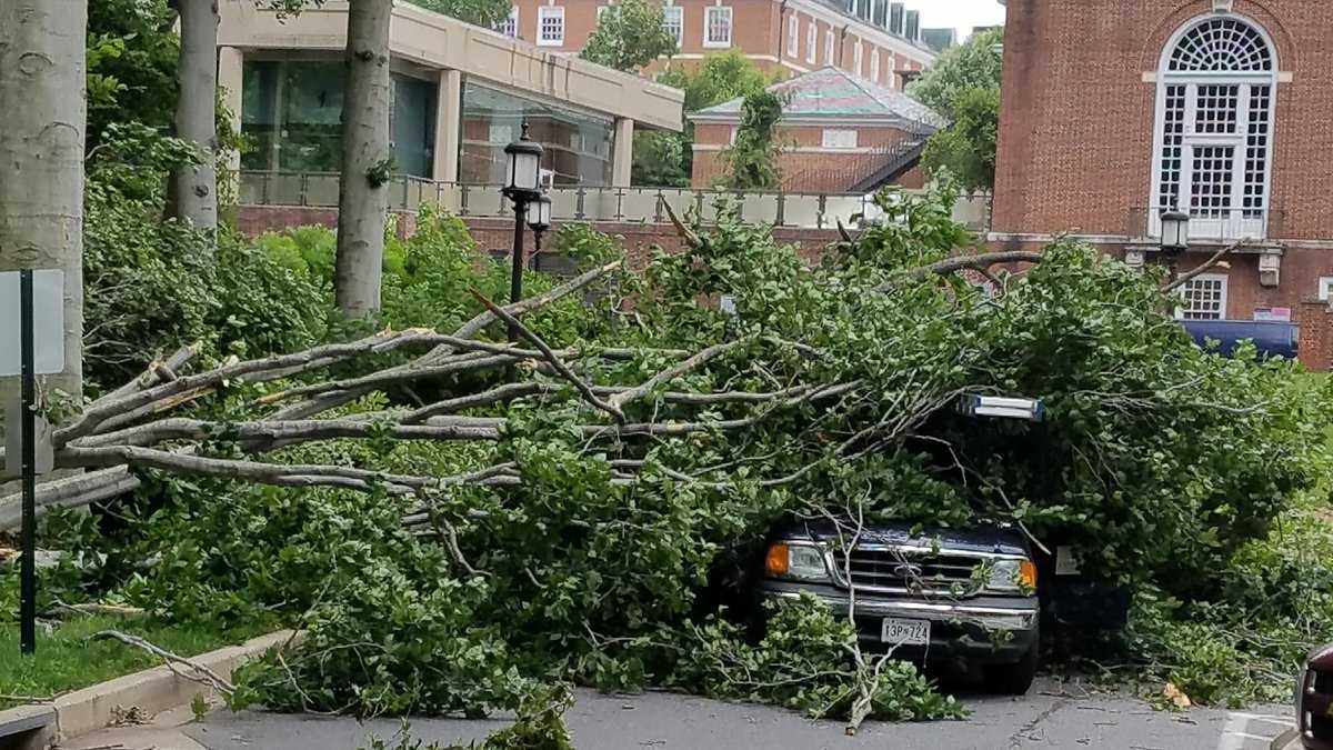 Storm damage strewn across Baltimore area