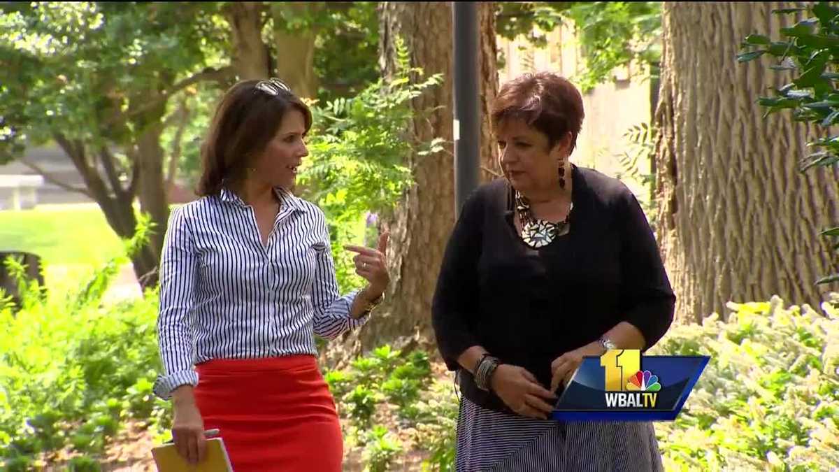 Debbie Phelps reflects on son's Olympic career