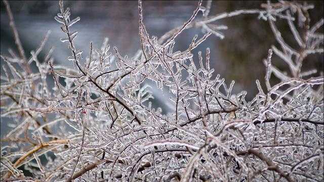 10 years later: Historic ice storm of 2008