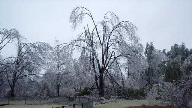 10 years later: Historic ice storm of 2008