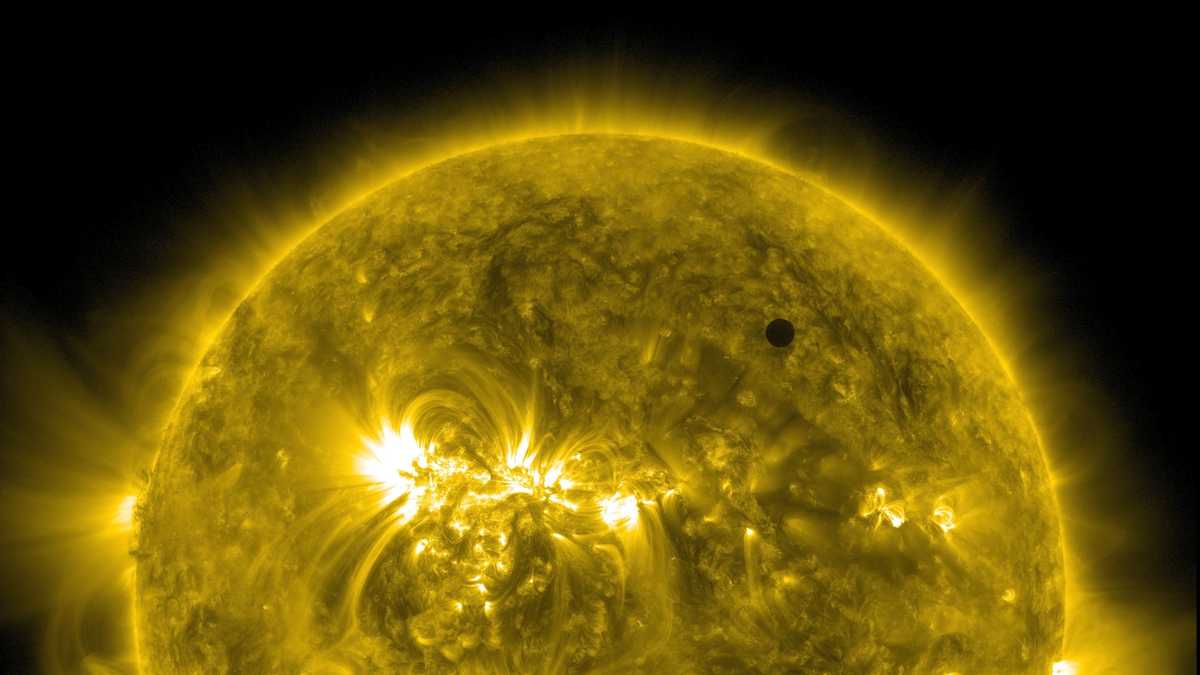 Celestial showcase: Venus travels across the sun