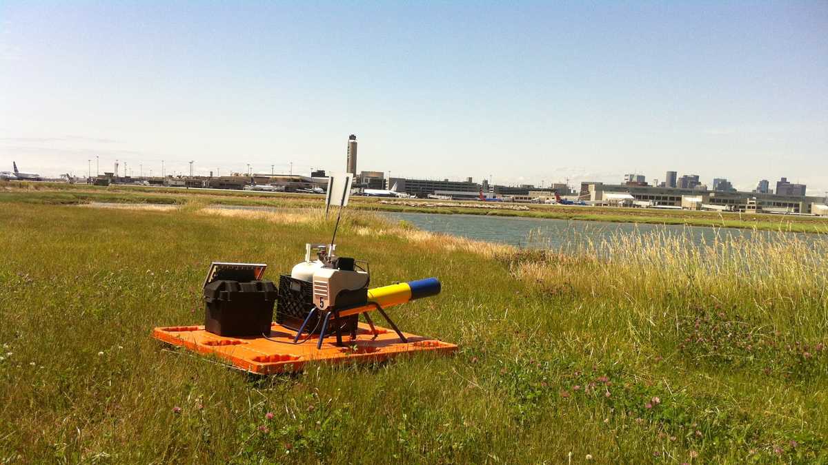 Photos: Logan battles bird strikes