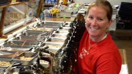 Cape Cod fish market shows off 21-pound lobster