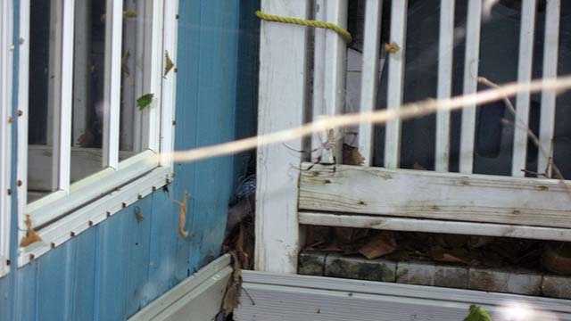 Photos: Will this evidence solve Bish murder?