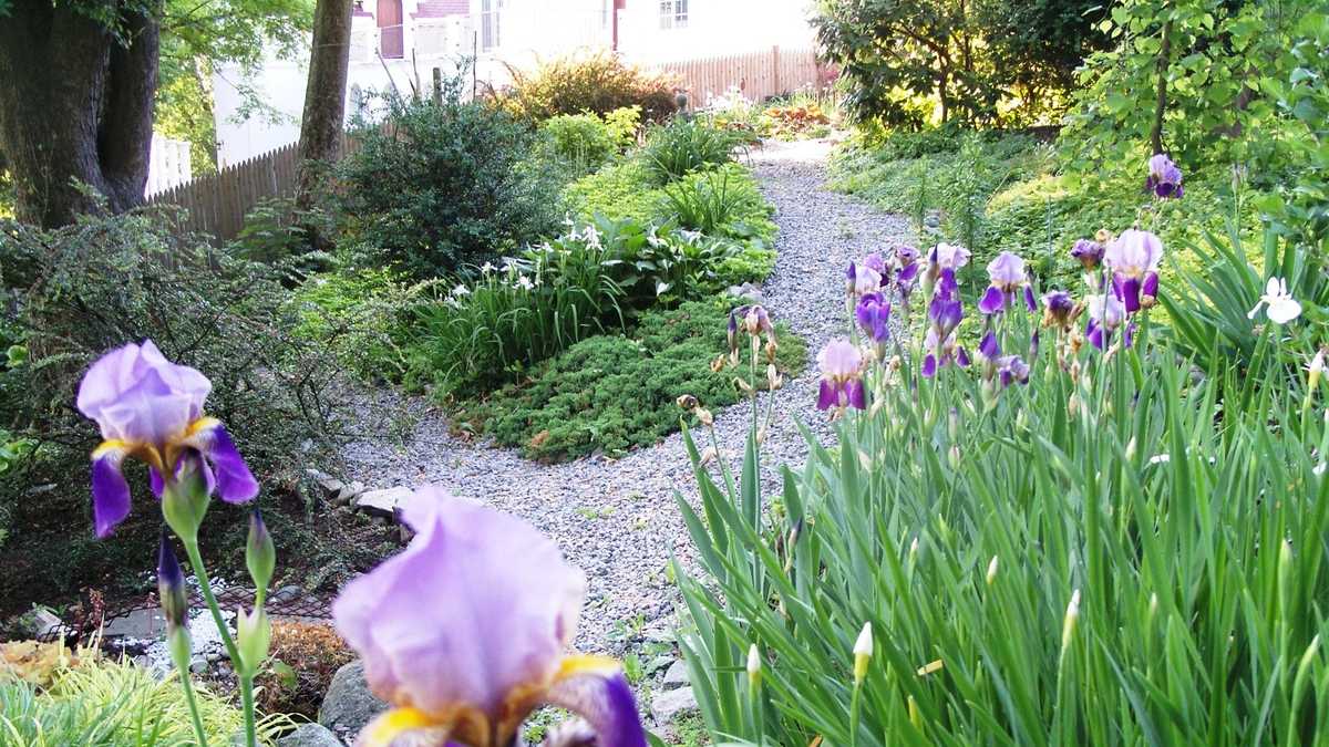 Photos: 2012 Boston garden contest winners