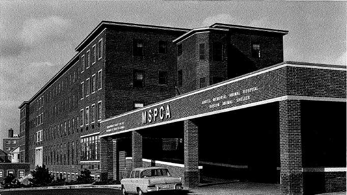 Medical history: Boston hospitals a century ago