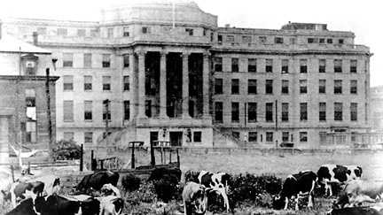 Medical history: Boston hospitals a century ago