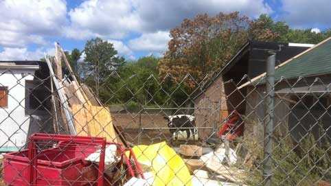 Mass. 'Cattle Bandit,' remaining cows found