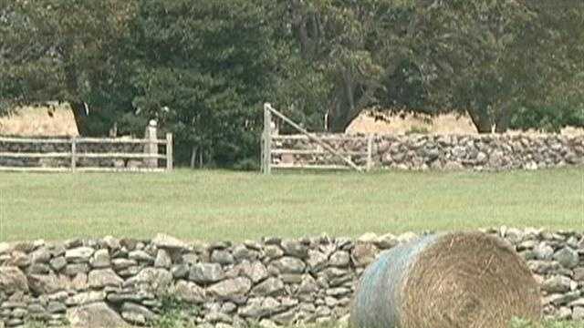50 Photos: Farm Coast