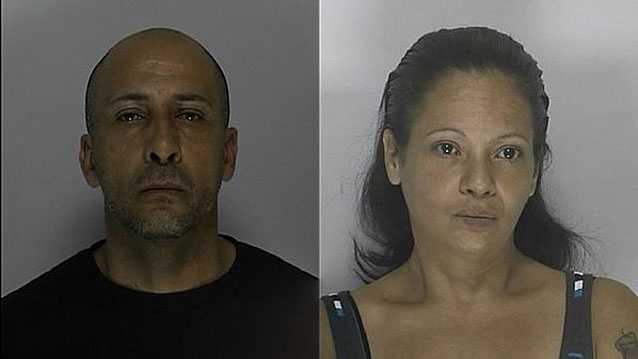 Couple charged in threat on woman, her dogs