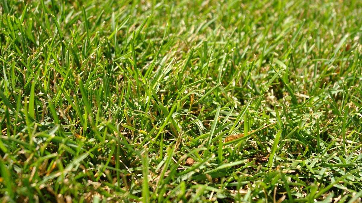 20 things you didn't know about Randy Price