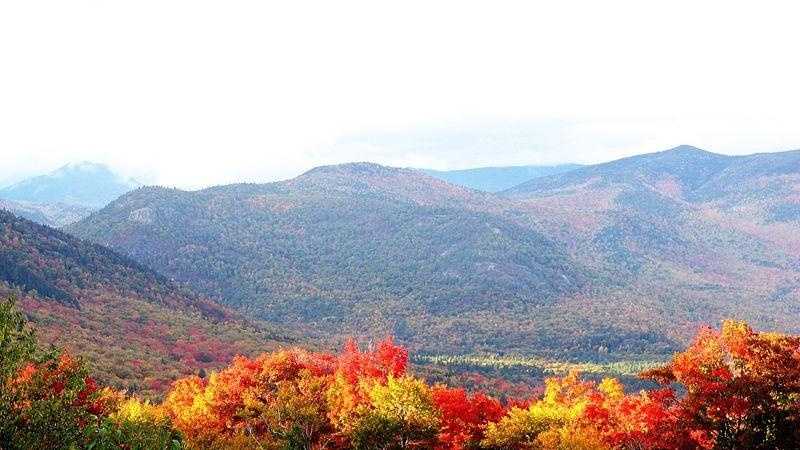 20 things you didn't know about Randy Price