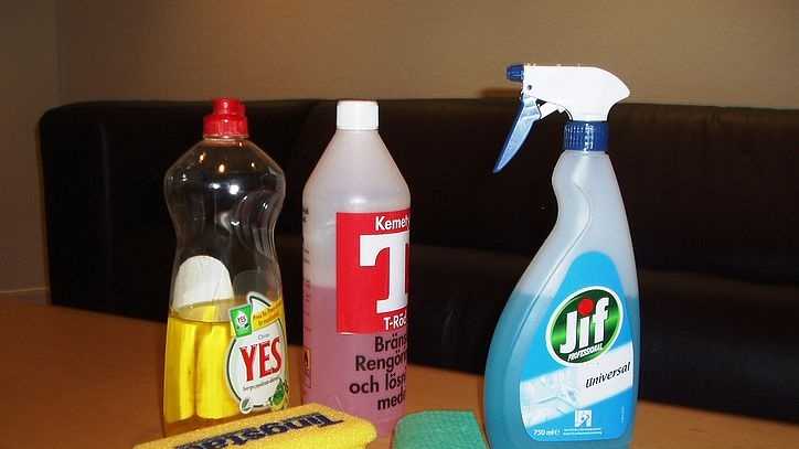 Common household items that are poisonous to pets