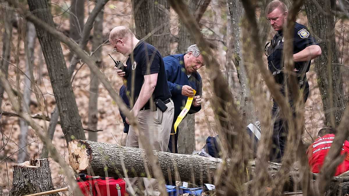 Images: Woman cutting down tree, 79, hurt when tree falls on her