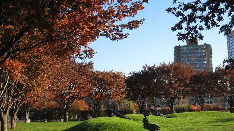 Things you didn't know about Watertown