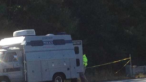 Badly decomposed body found in wooded area