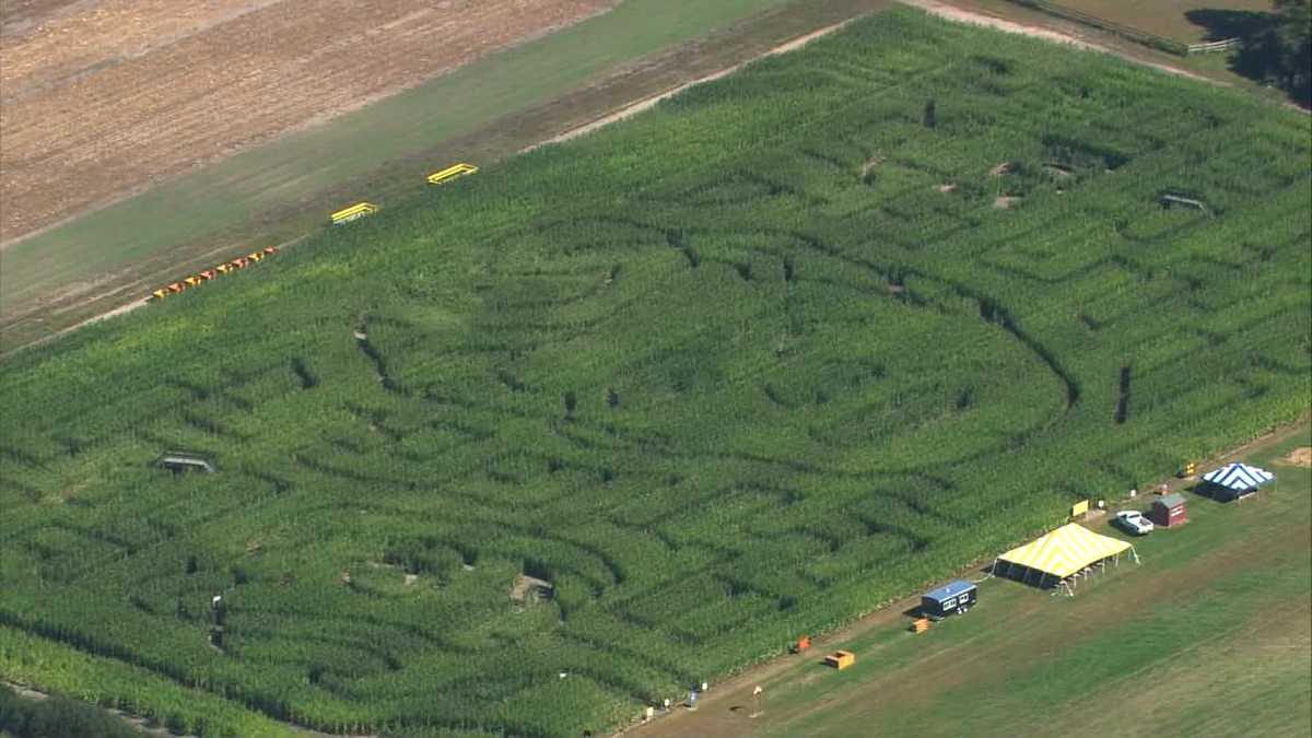 Corn maze pays tribute to JFK