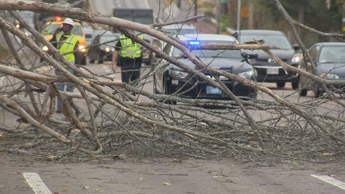 Storm damage reported across region