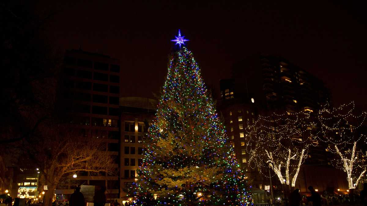 Boston Common Christmas Tree Lighting Celebration