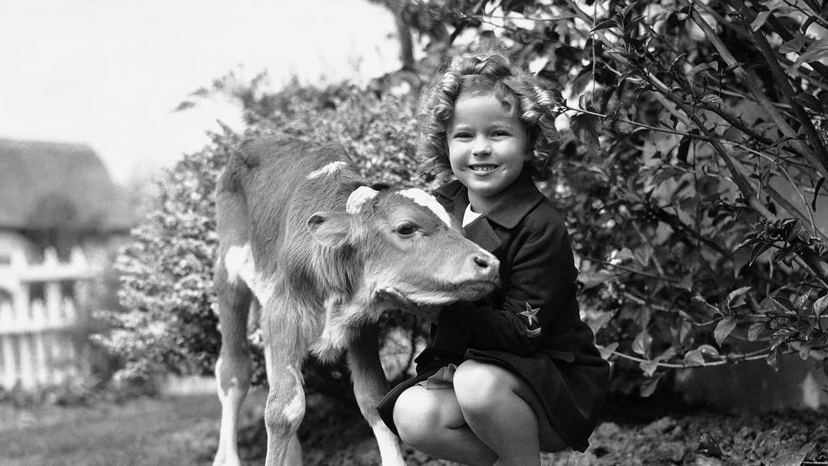 Celebrating Shirley: A look back at child star's career