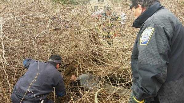 Images: Crews rescue man trapped under tree