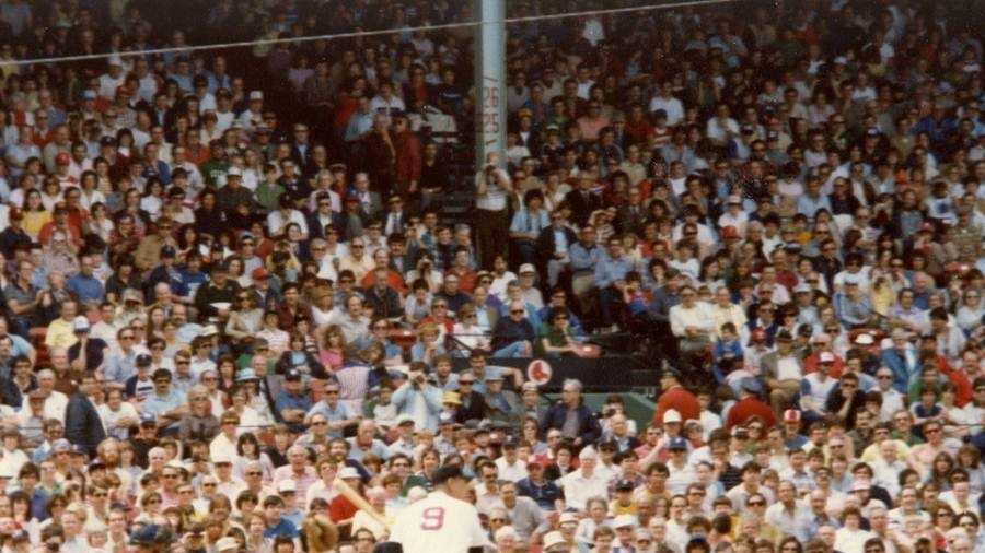 Photos: Ted Williams, My Father: A Memoir